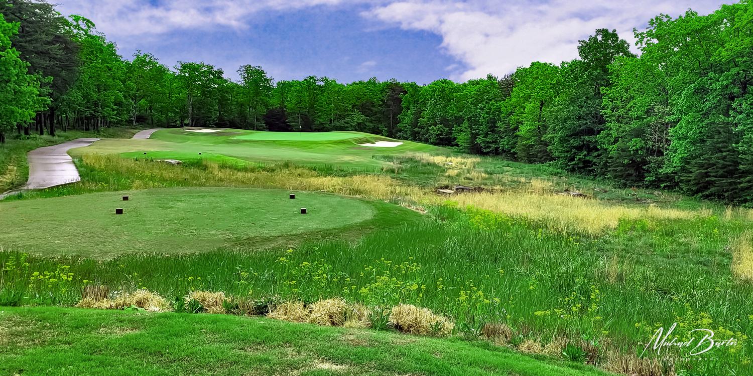 McLemore By David Theoret